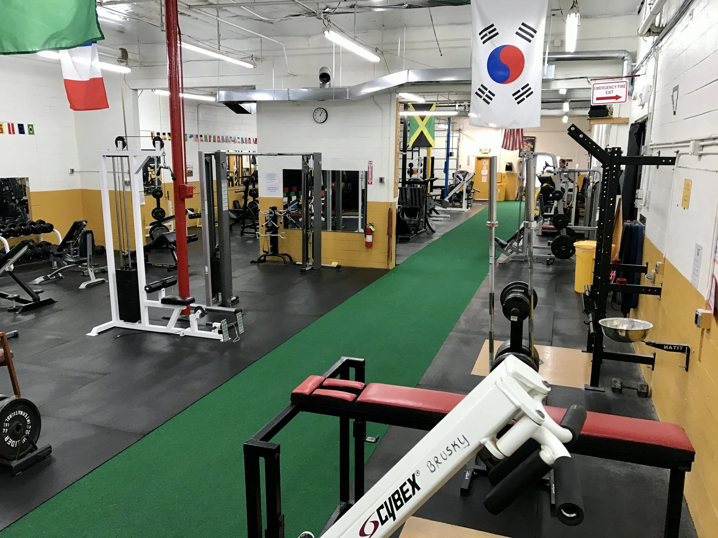 FitCo Gym Workout and Fitness Equipment — FitCo