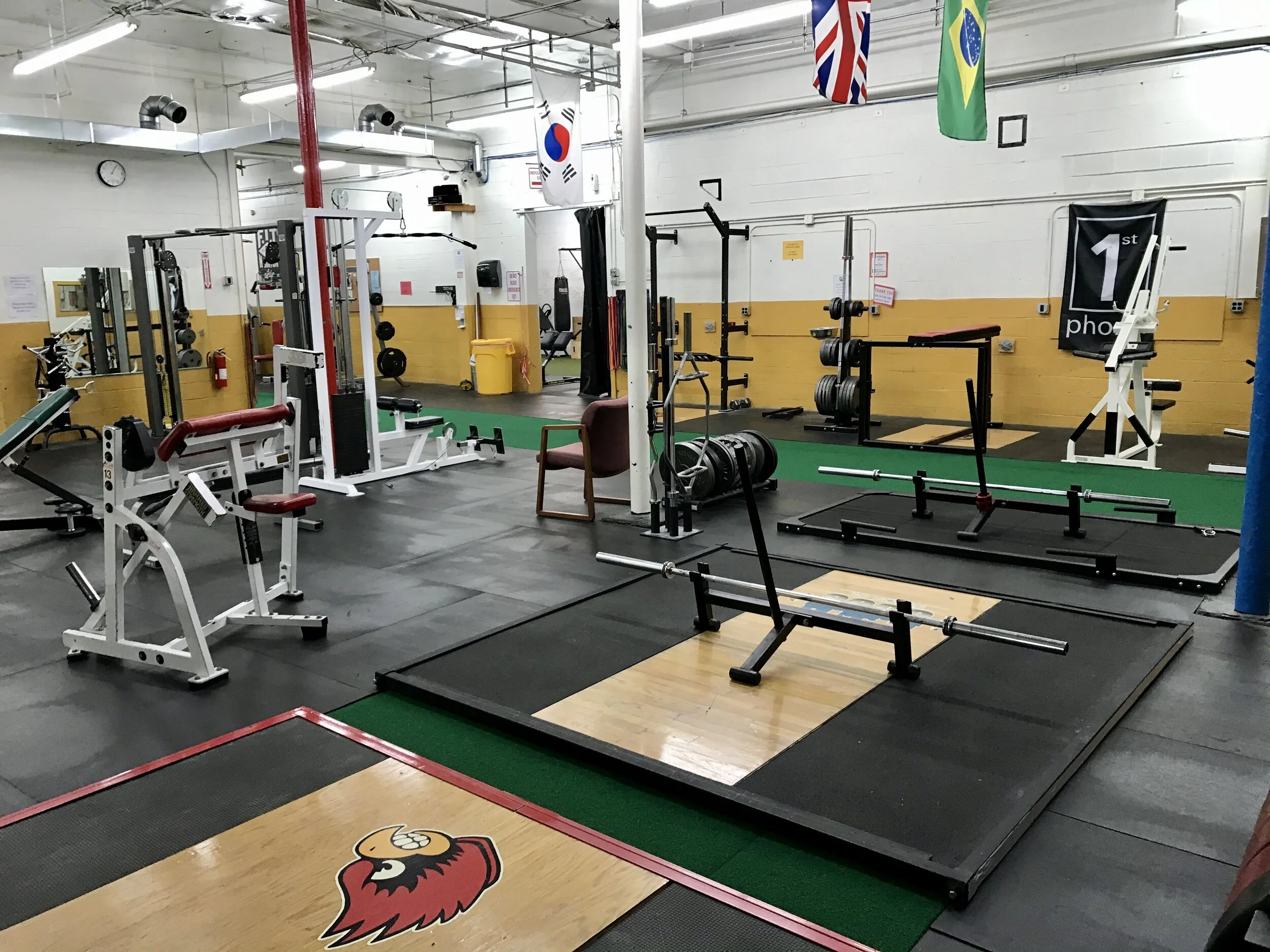 FitCo Gym Workout and Fitness Equipment — FitCo