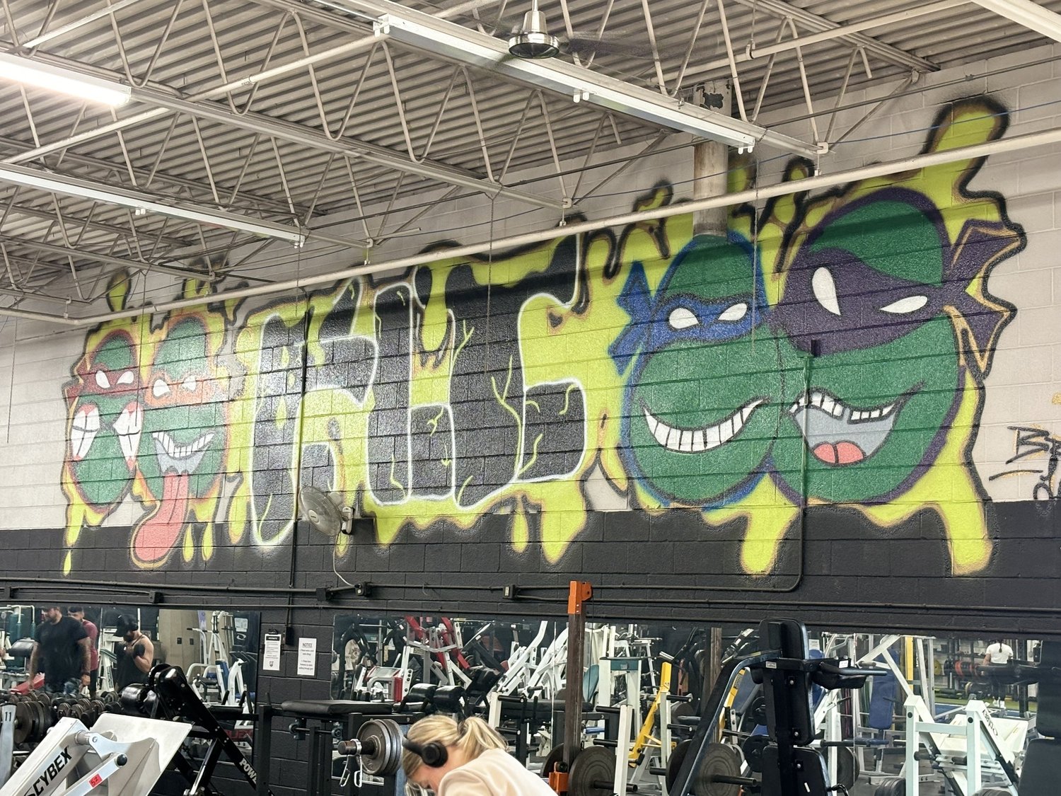 FitCo Gym Workout and Fitness Equipment — FitCo