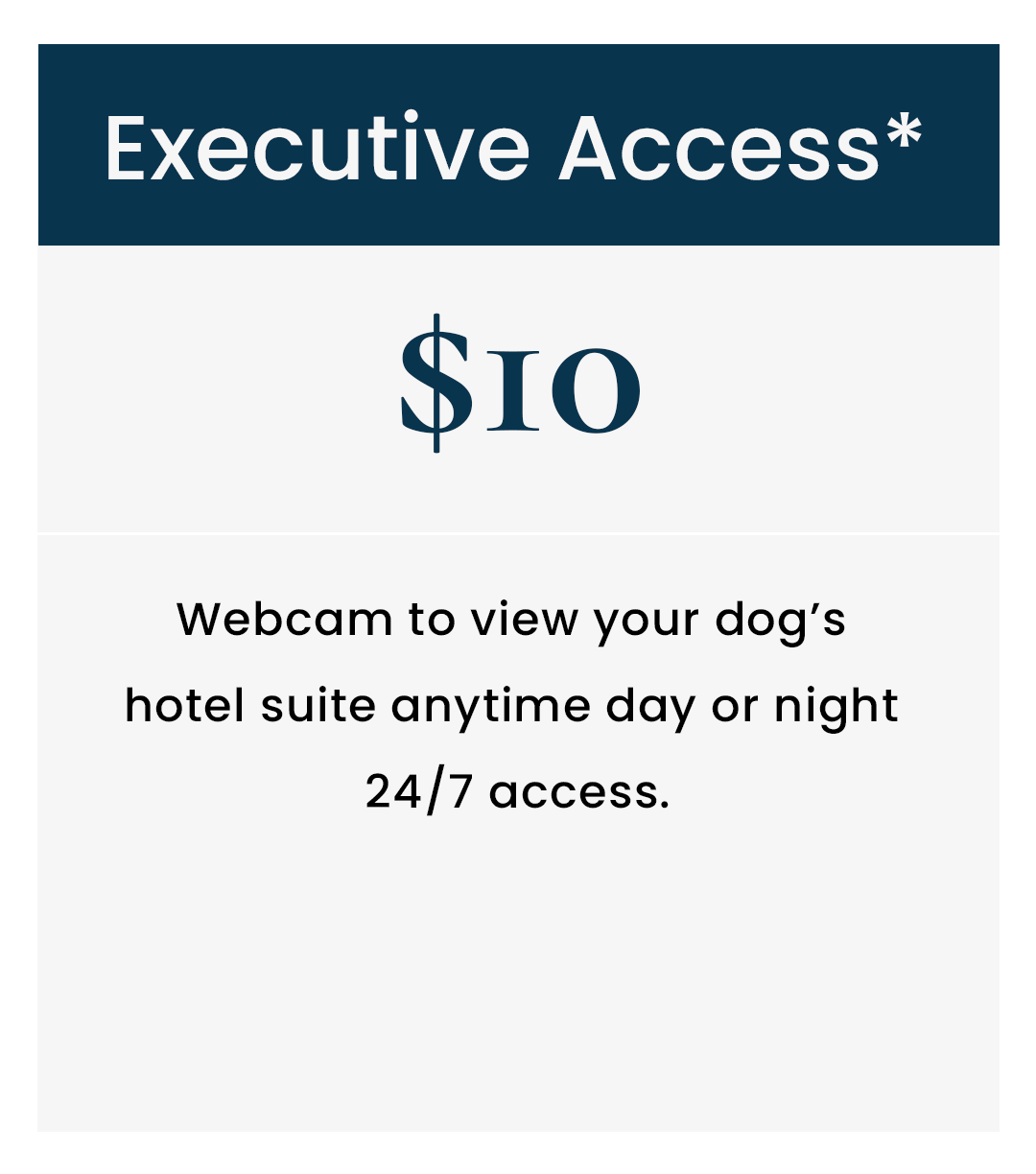 Luxury Dog Boarding in Ankeny — Wags Pet Resort Ankeny