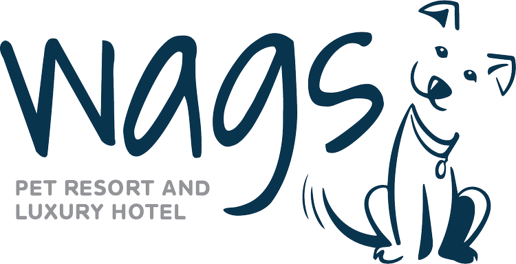 Doggy Daycare & Pet Boarding in Ankeny - Wags Pet Resort Ankeny