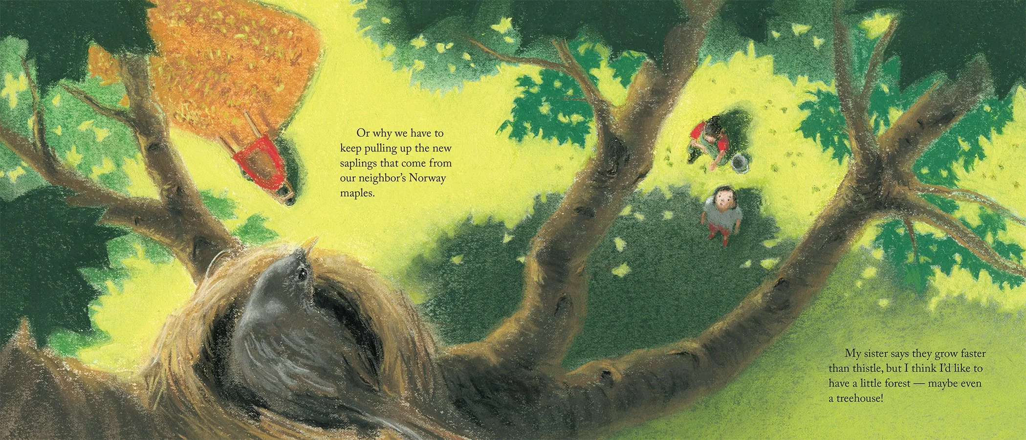 All That Grows — Jack Wong / Author & Illustrator