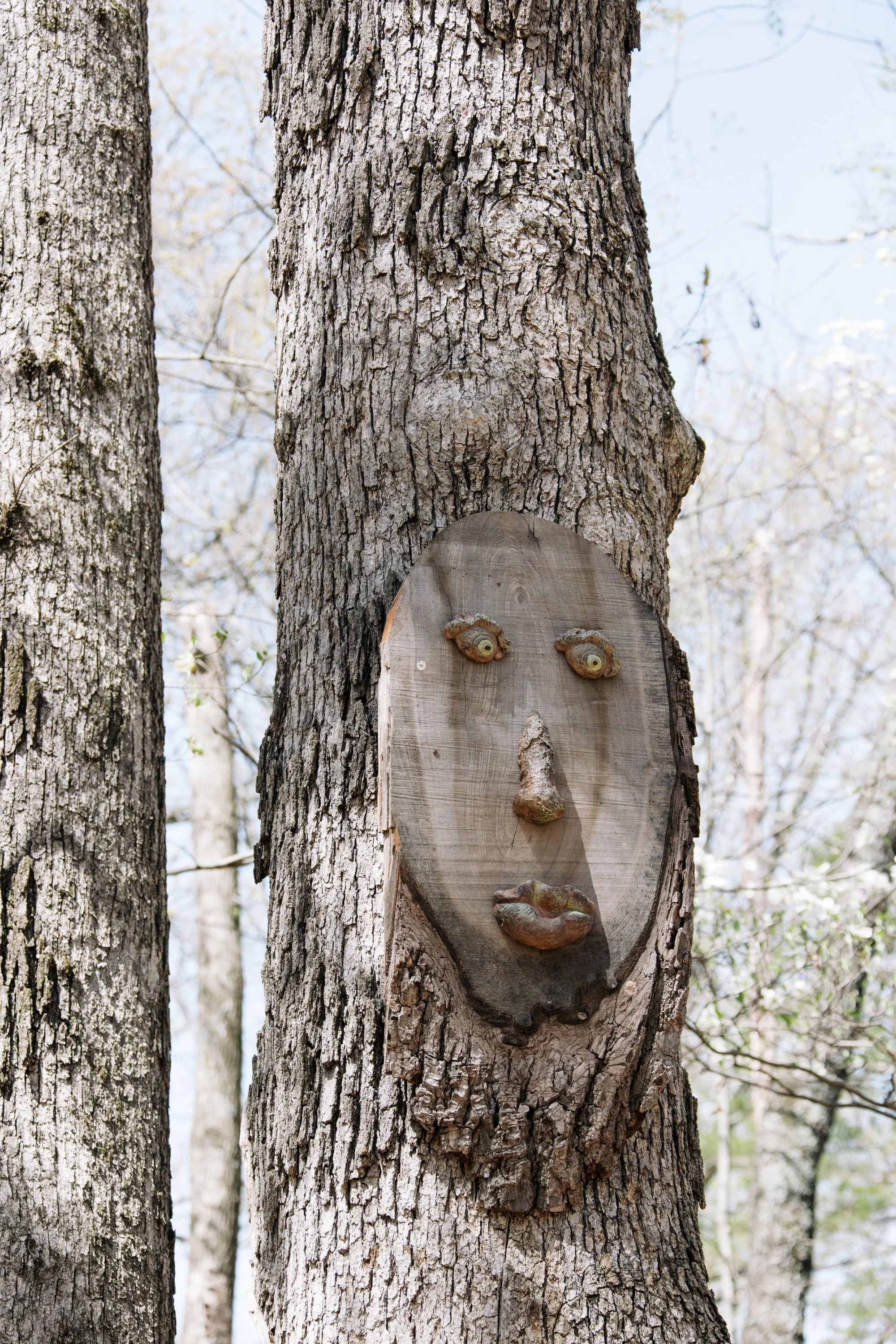 Fox Prairie Disc Golf Course in McLeansboro IL — The Disc Golf Photographer