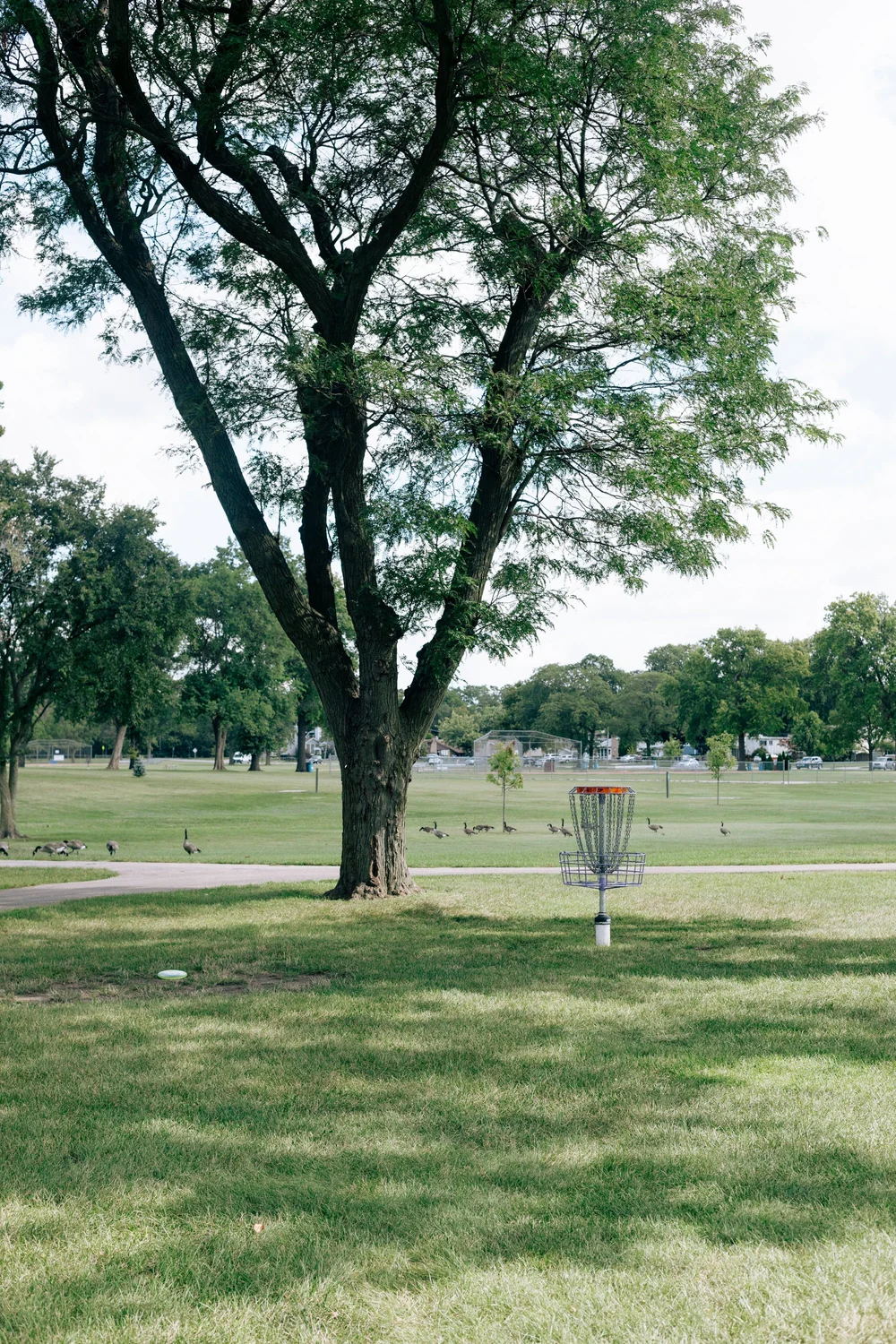 LOMBARD COMMON DISC GOLF COURSE — The Disc Golf Photographer