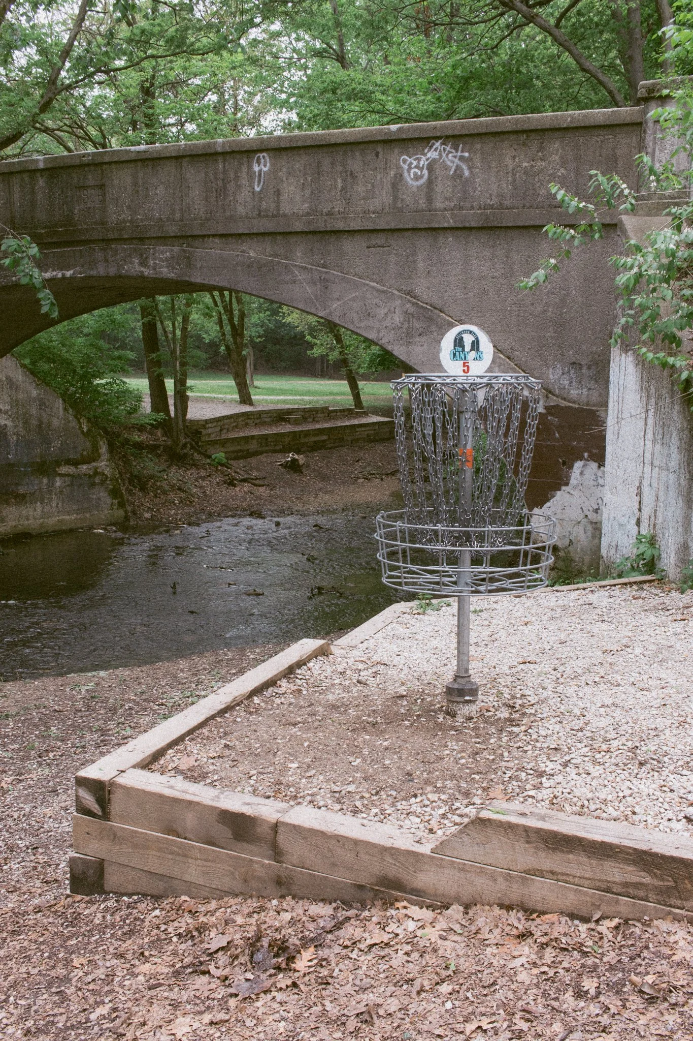 The Disc Golf Photographer | Lauren Lakeberg