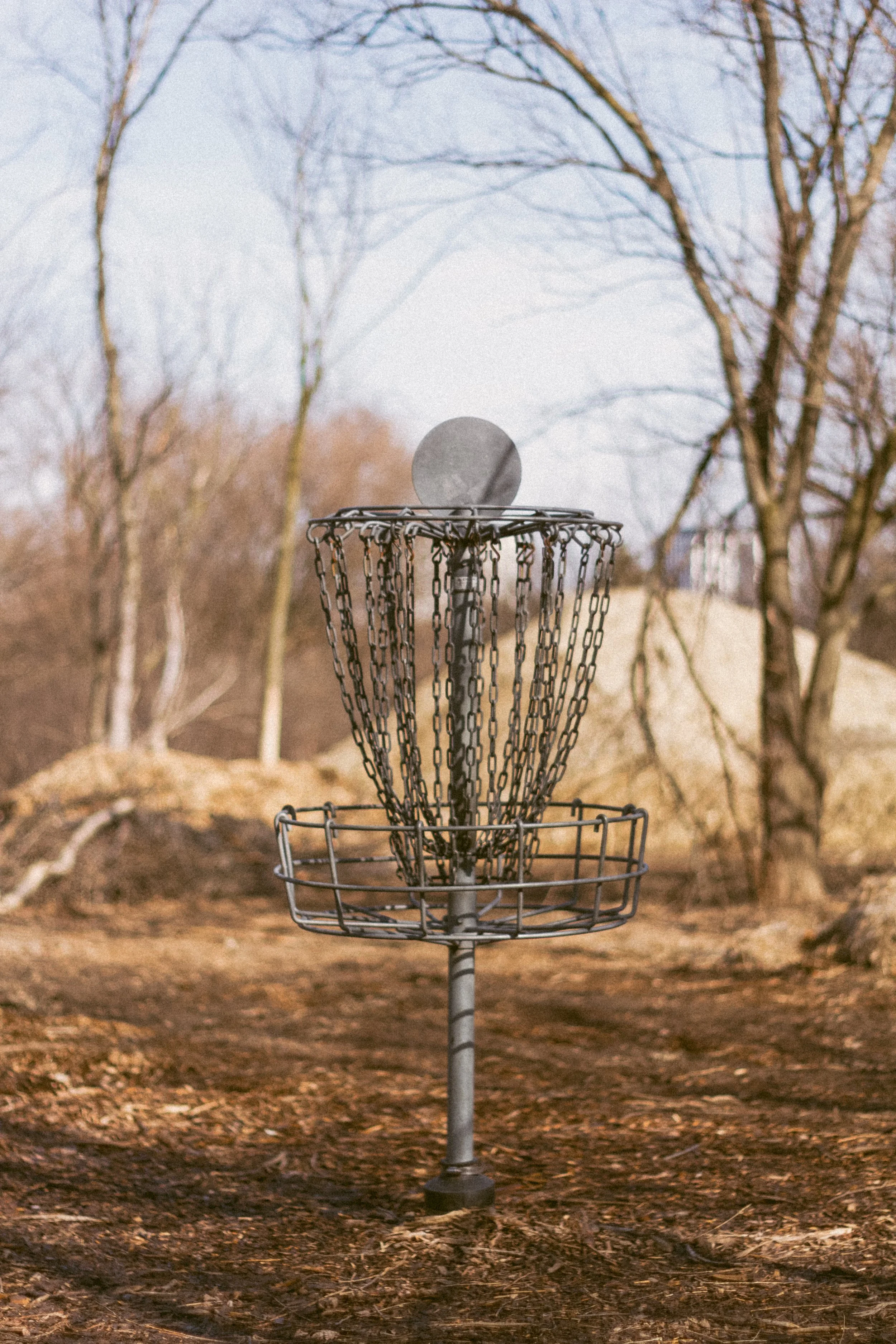The Disc Golf Photographer | Lauren Lakeberg