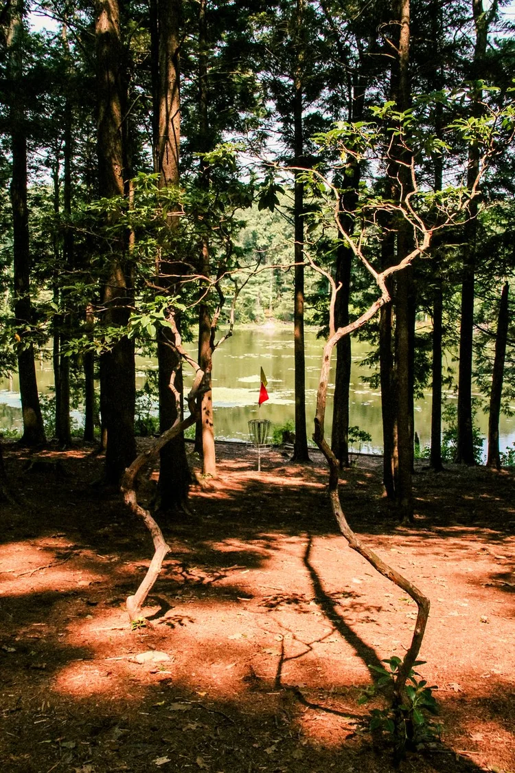 MAPLE HILL DGC — The Disc Golf Photographer