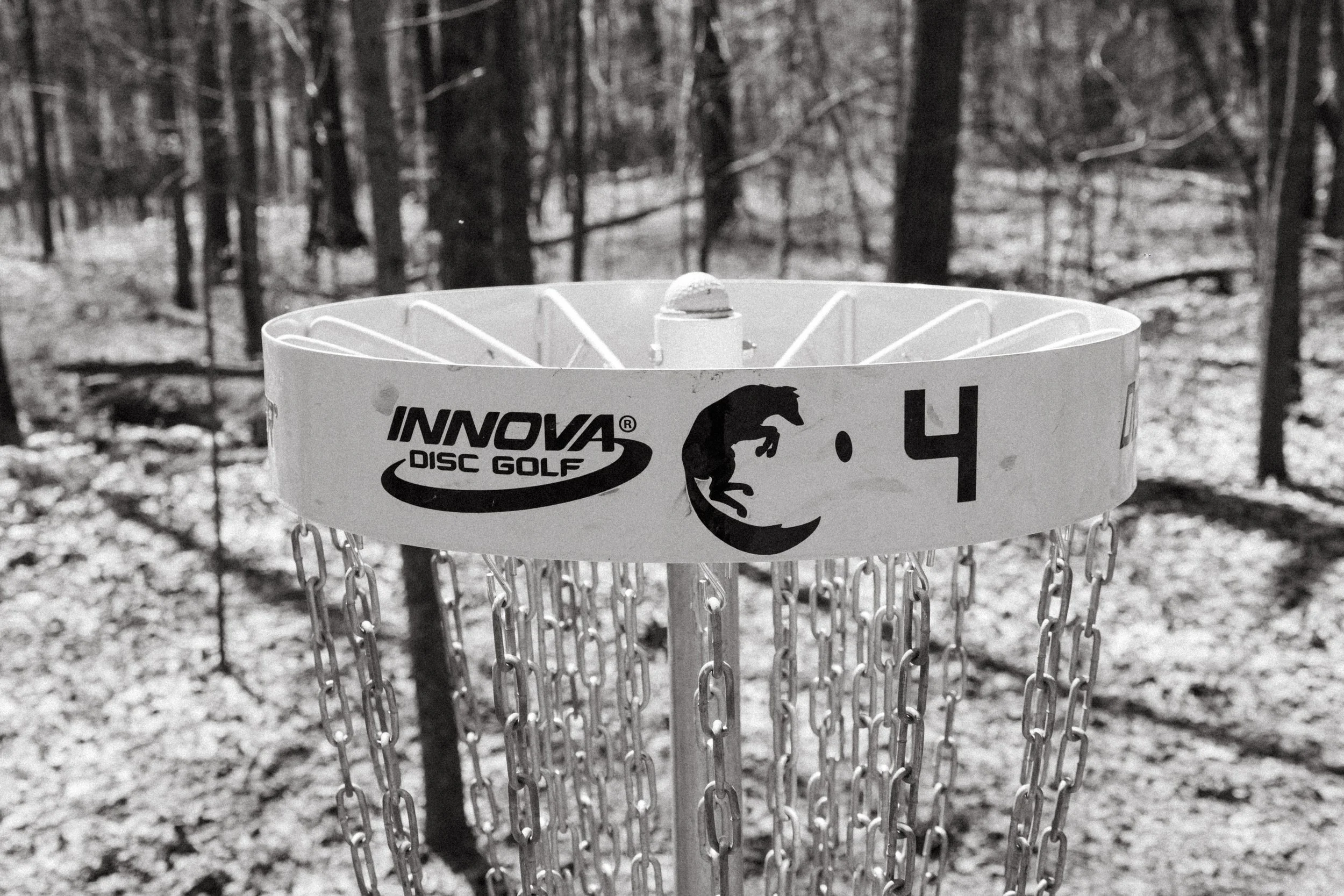 Fox Prairie Disc Golf Course in McLeansboro IL — The Disc Golf Photographer