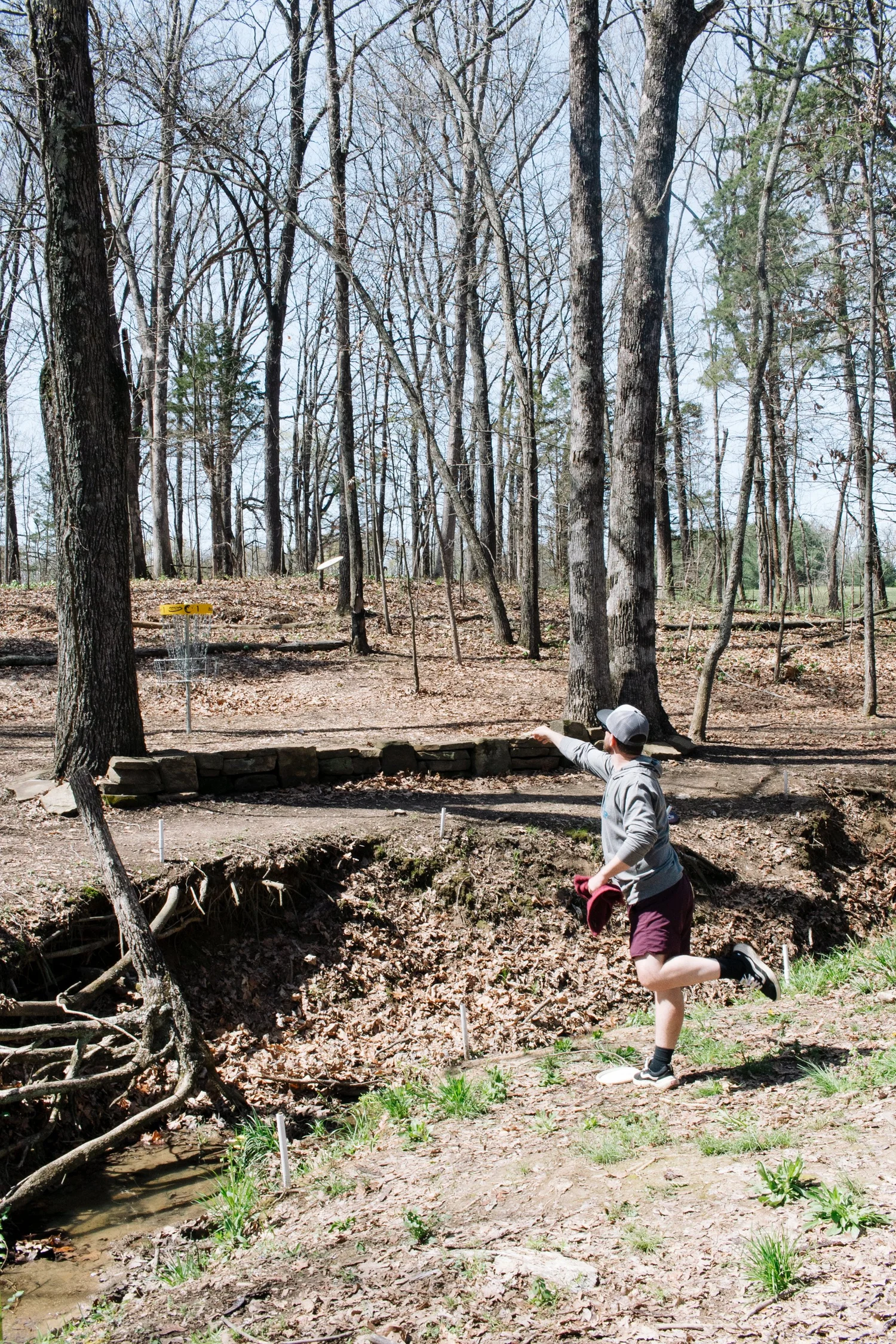 Fox Prairie Disc Golf Course in McLeansboro IL — The Disc Golf Photographer