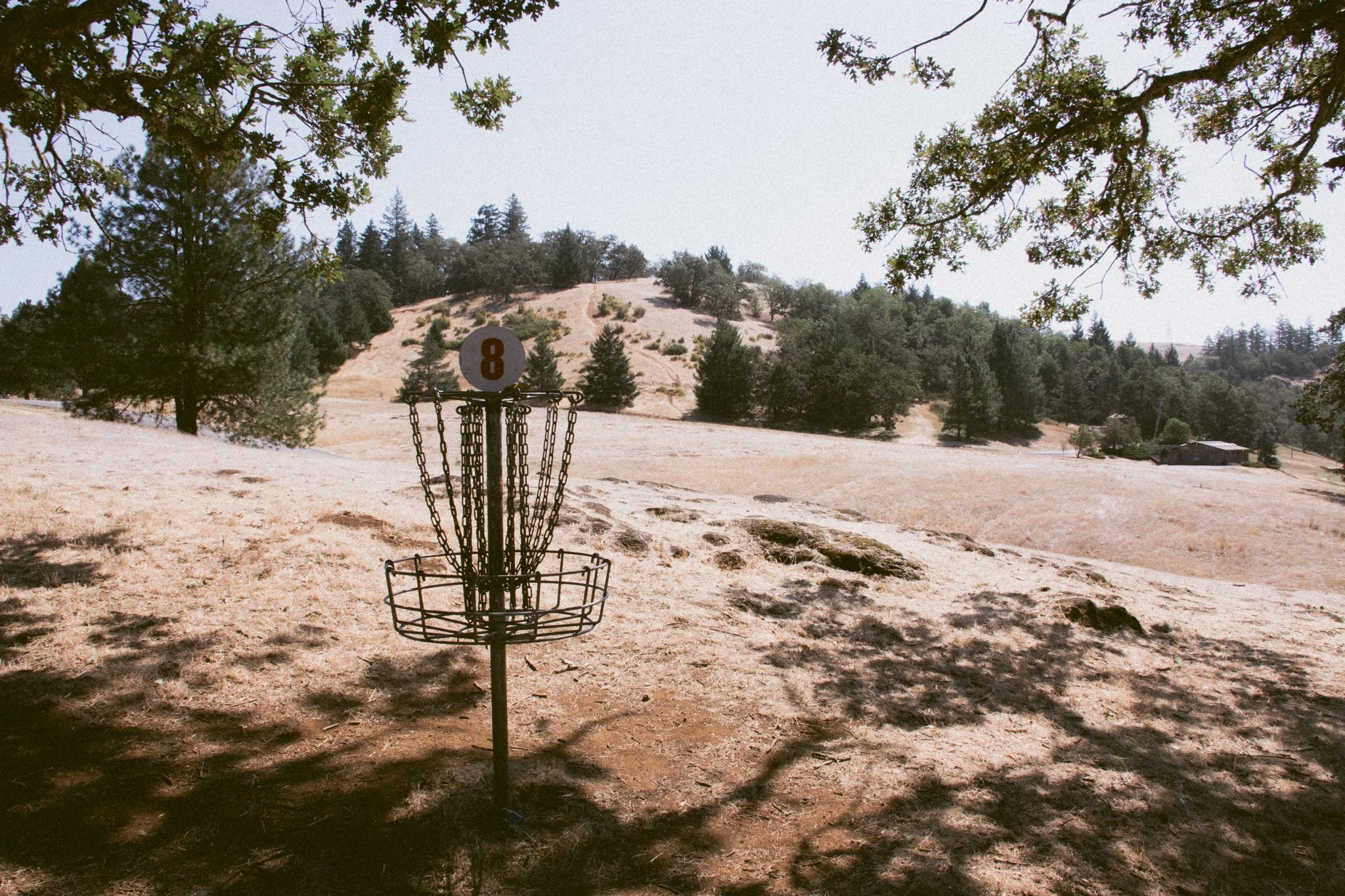 The Disc Golf Photographer | Lauren Lakeberg