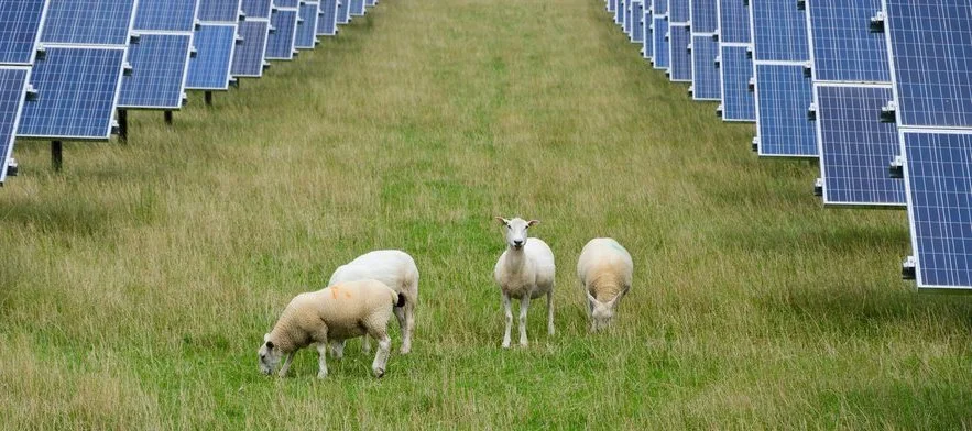 Blind Creek Solar Farm