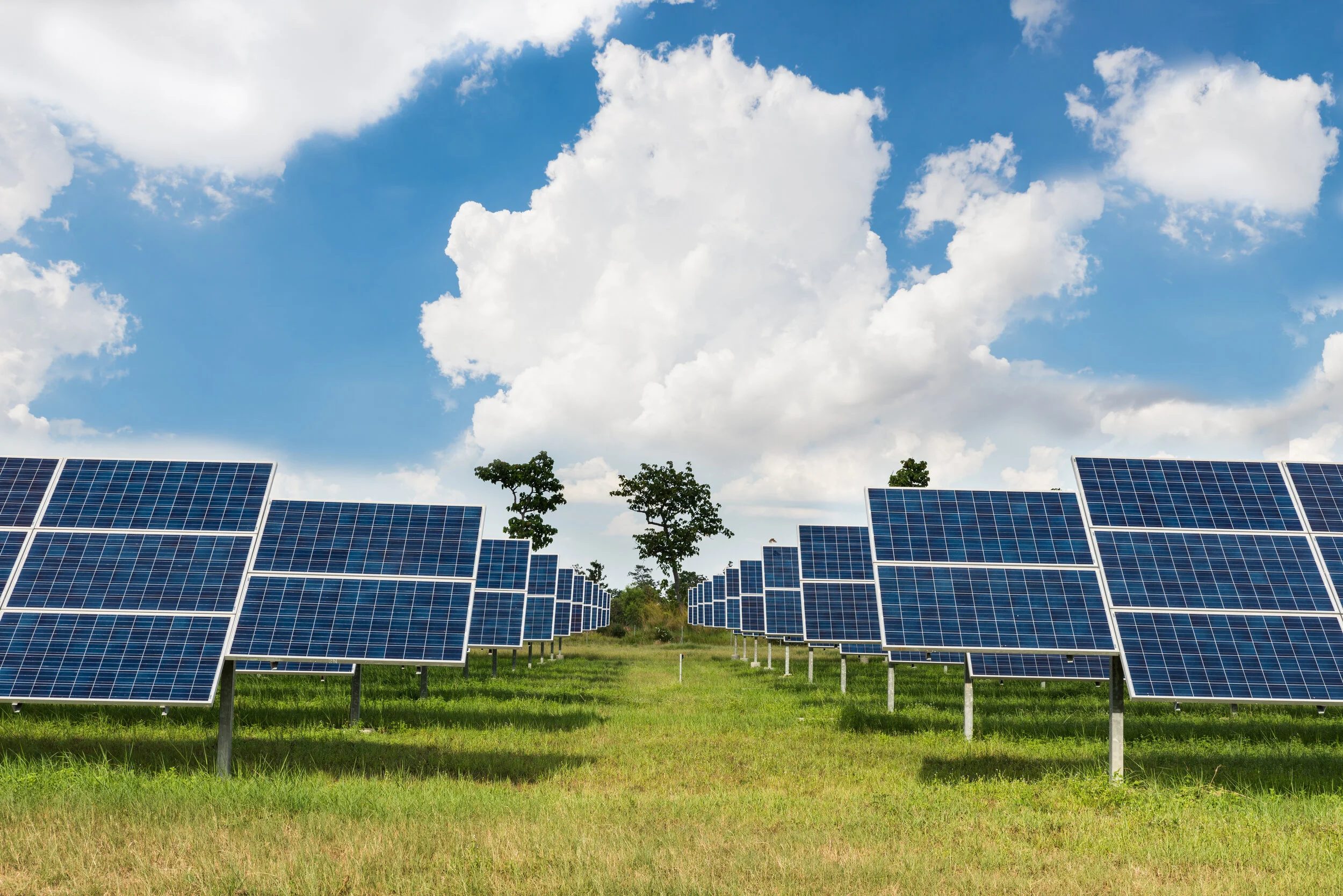 About Agri-Solar — Blind Creek Solar Farm