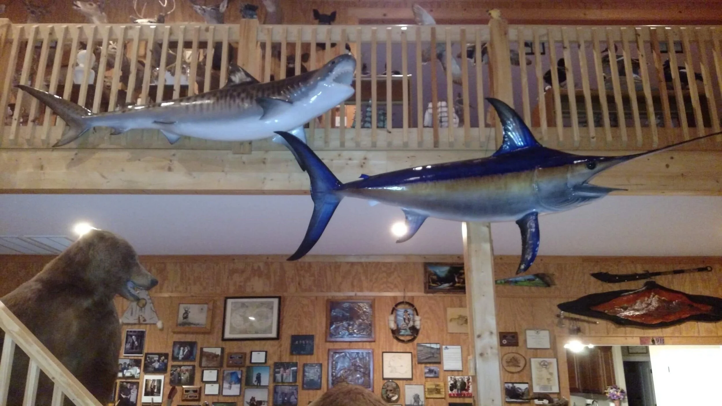 Fish Taxidermist Hudson Valley — Fox Studios Taxidermy