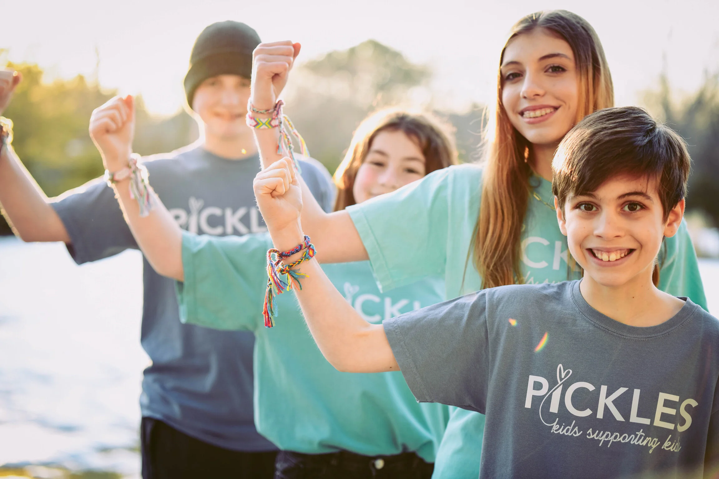OUR MODEL — Pickles Group