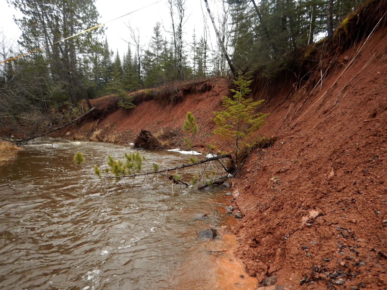 Geomorphic Restoration - Environmental Experts