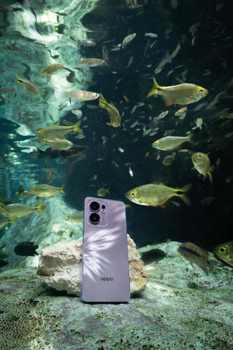 Professional underwater photographer for advertising campaigns — Fran ...