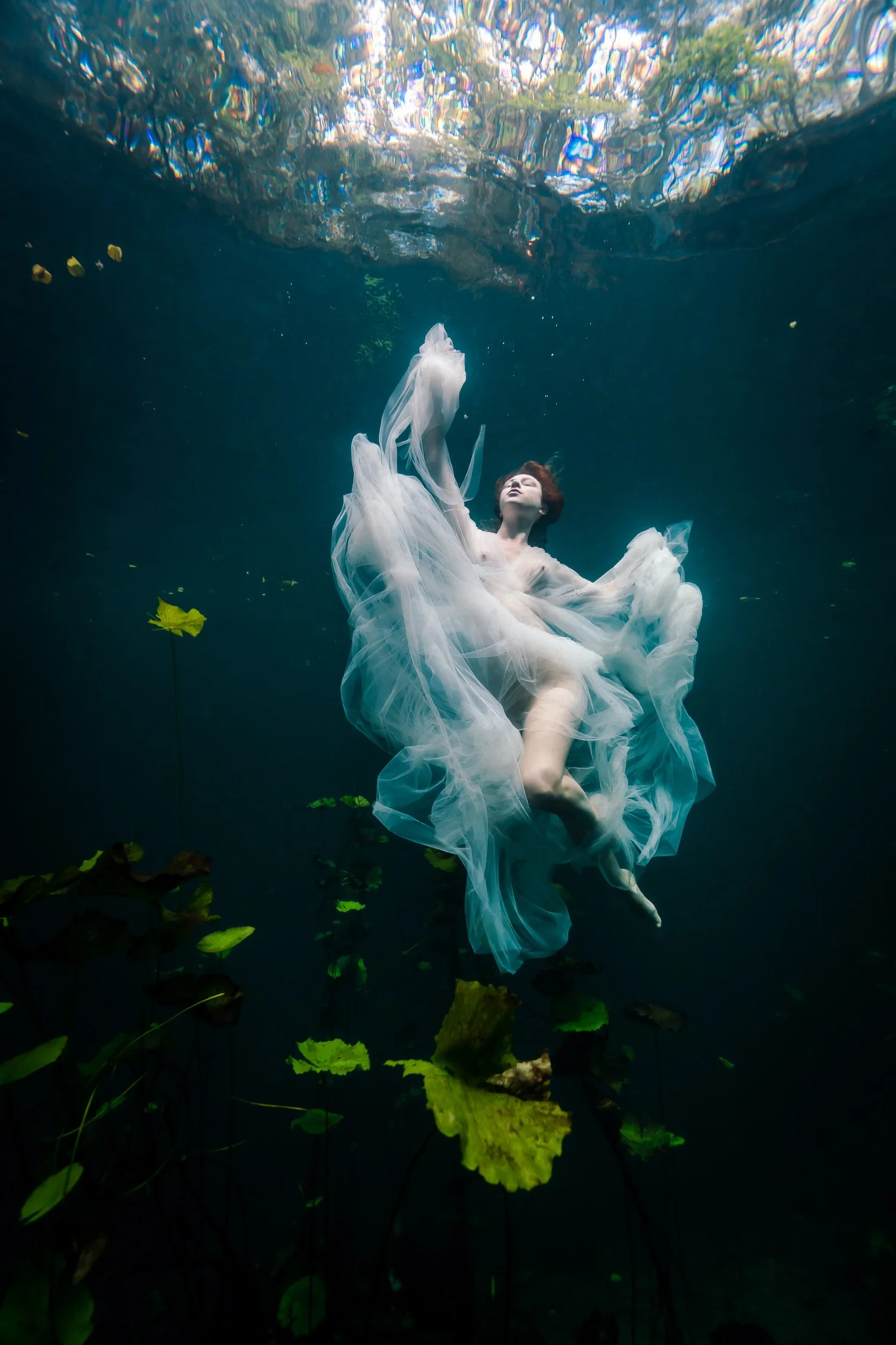 Fine Art — Fran Reina Photos