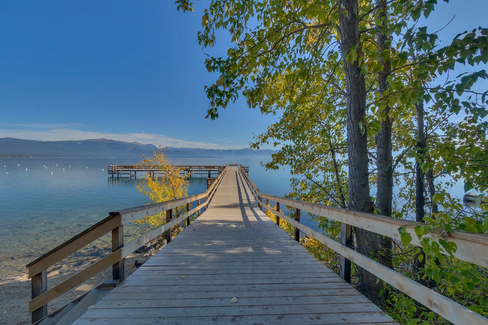 Gallery — Chinquapin