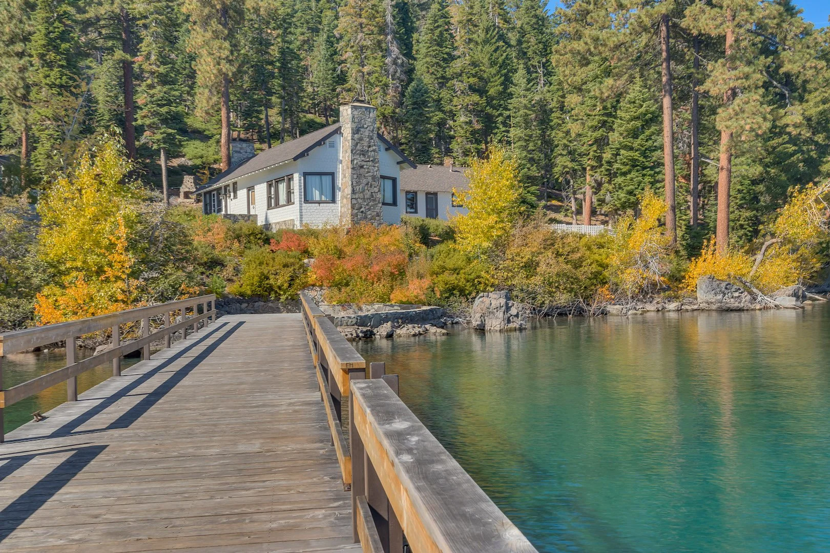 Gallery — Chinquapin