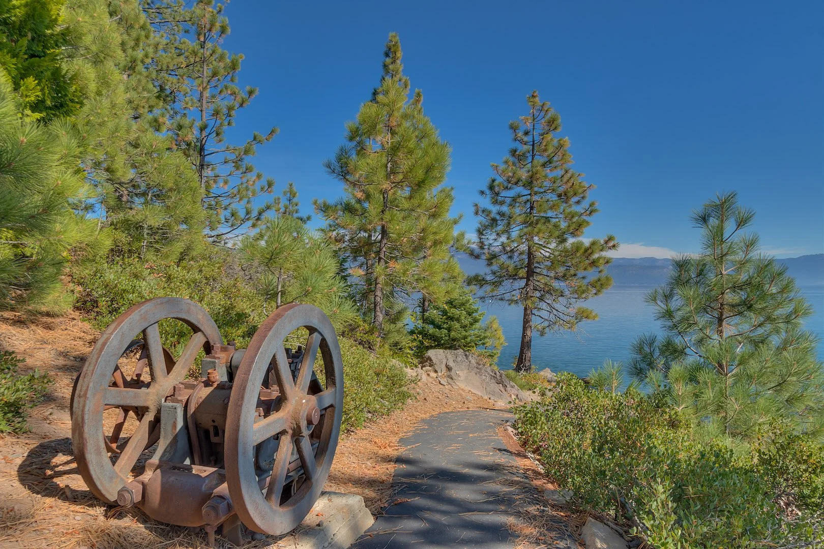 Gallery — Chinquapin