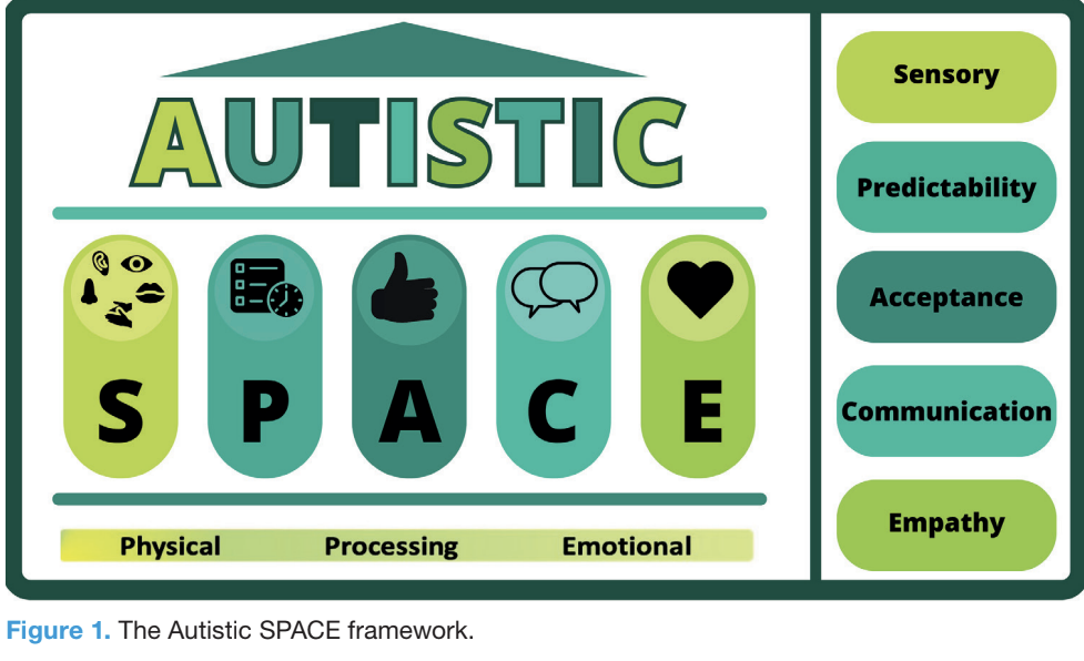 Supporting the Needs of Autistic People in Healthcare Settings — The ...