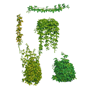 Estate Part 1 — House of Harlix