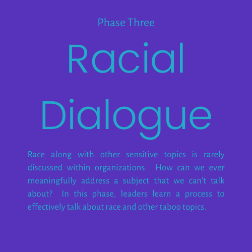 Framework — Beyond Racial Equity