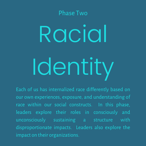 Framework — Beyond Racial Equity