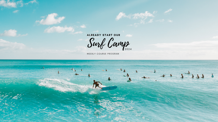 Good Vibes Surf School Cancun