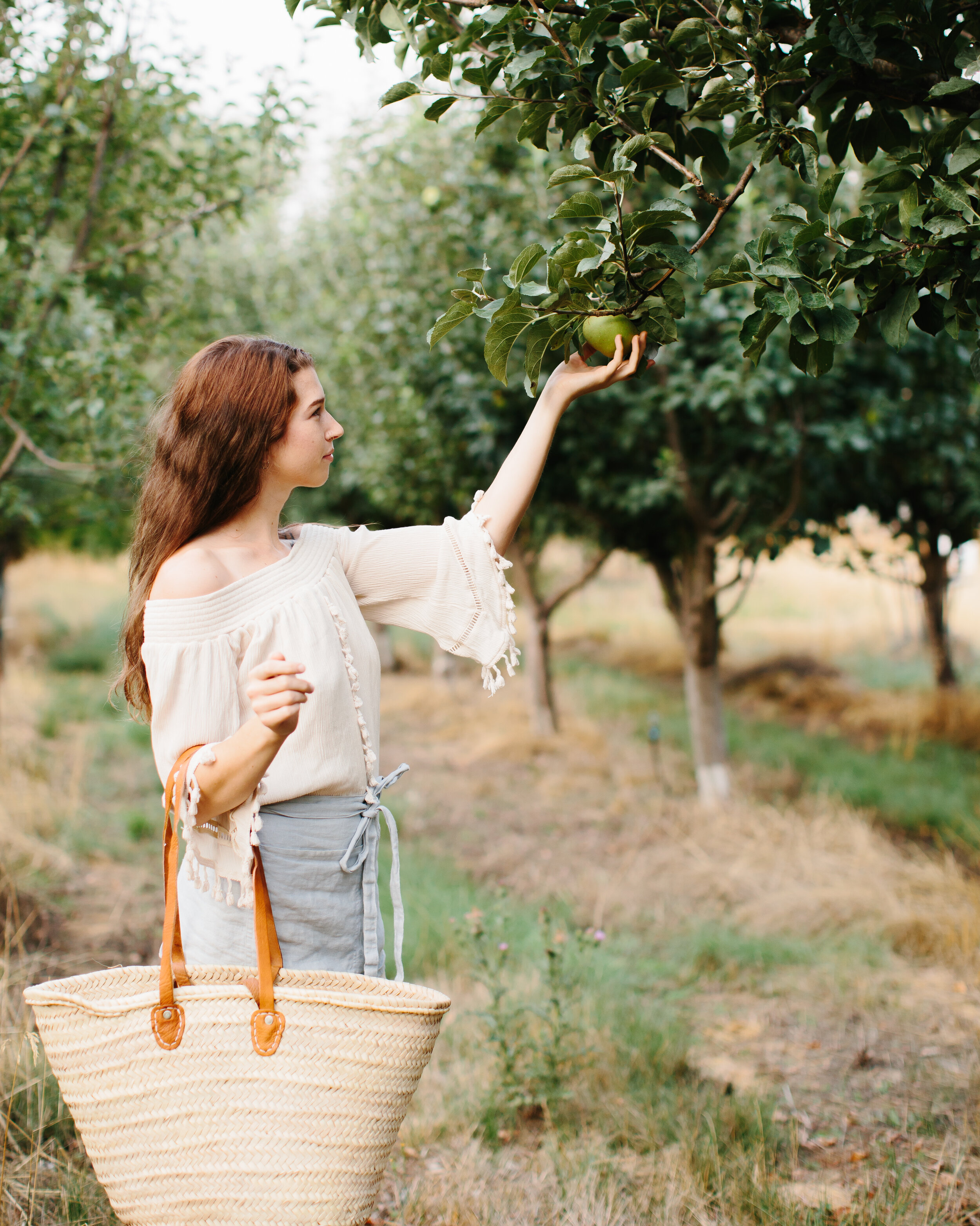 Johnny Appleseed Organic