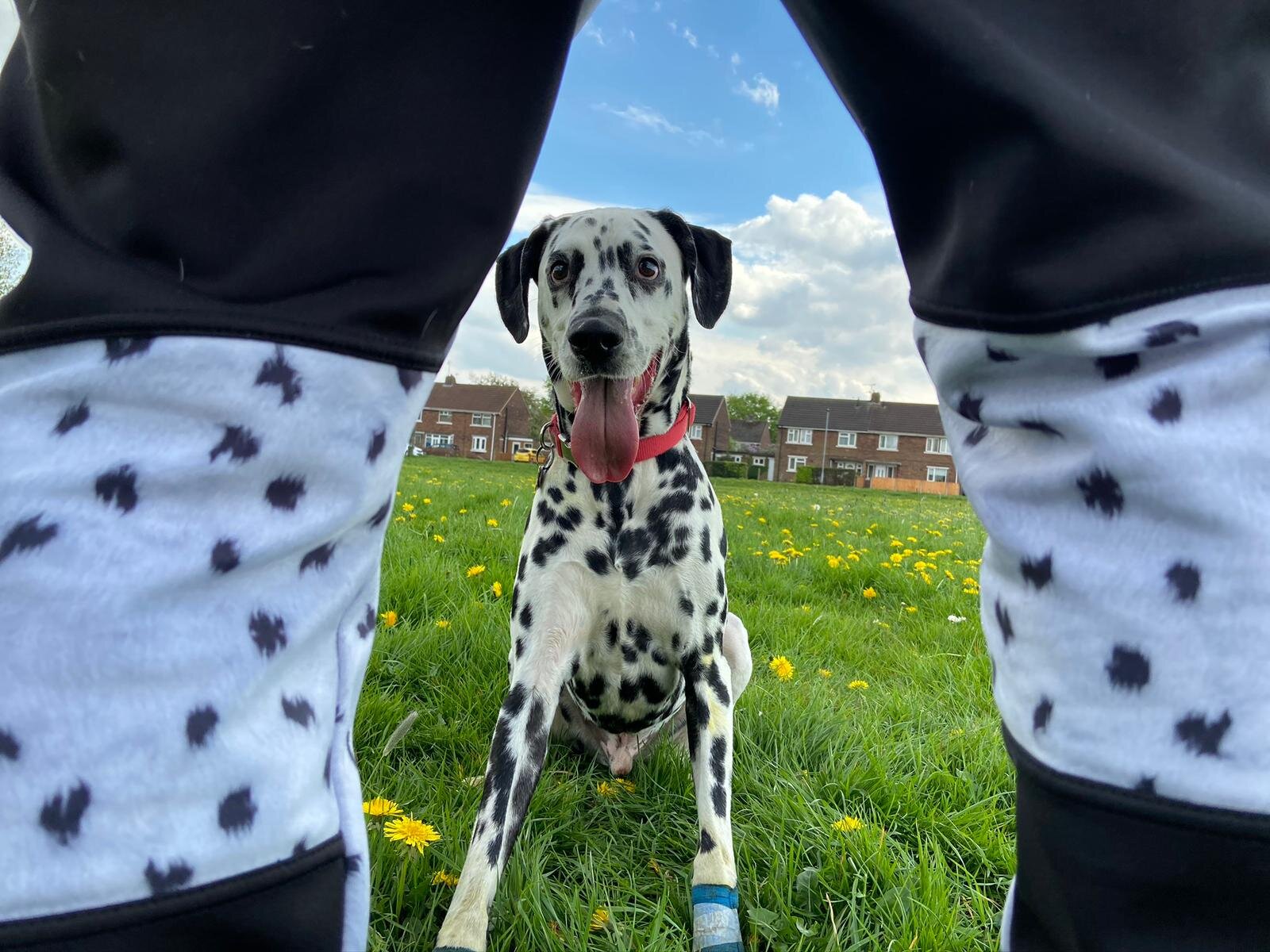 Contact — Spotty Dog Athletics