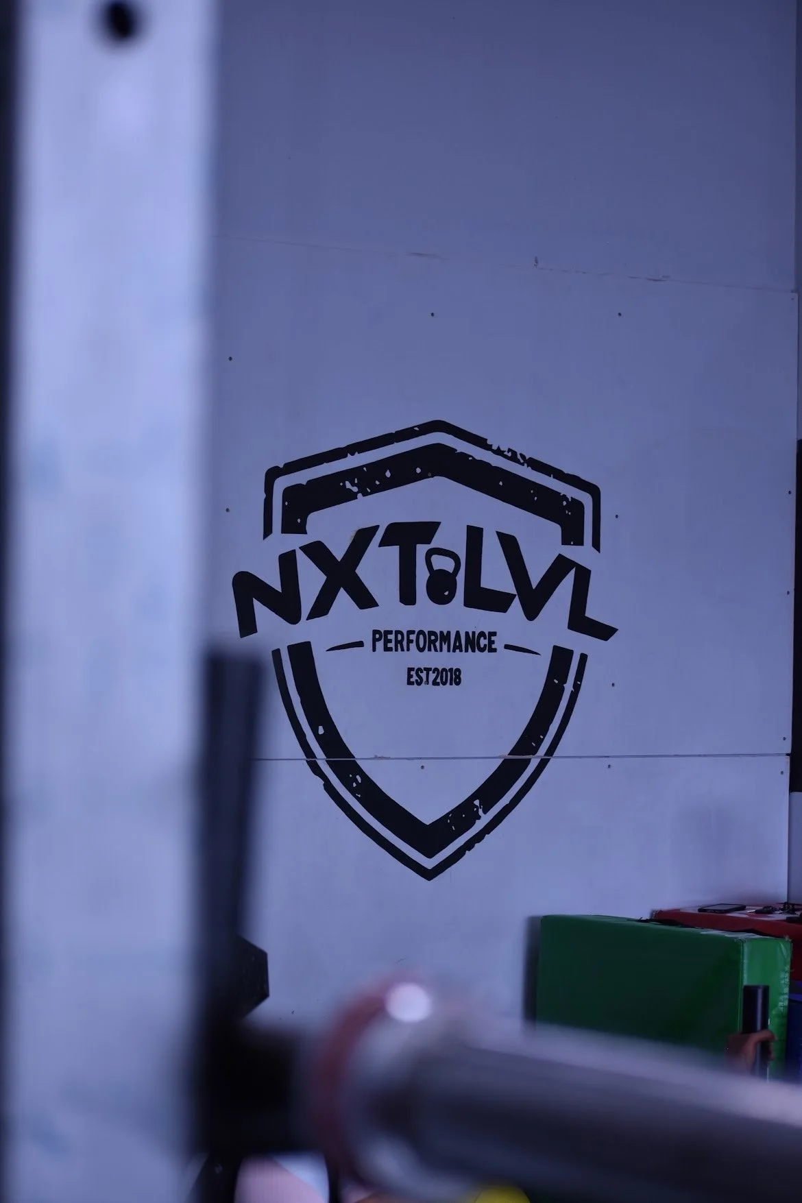 About 1 — NXT LVL Performance