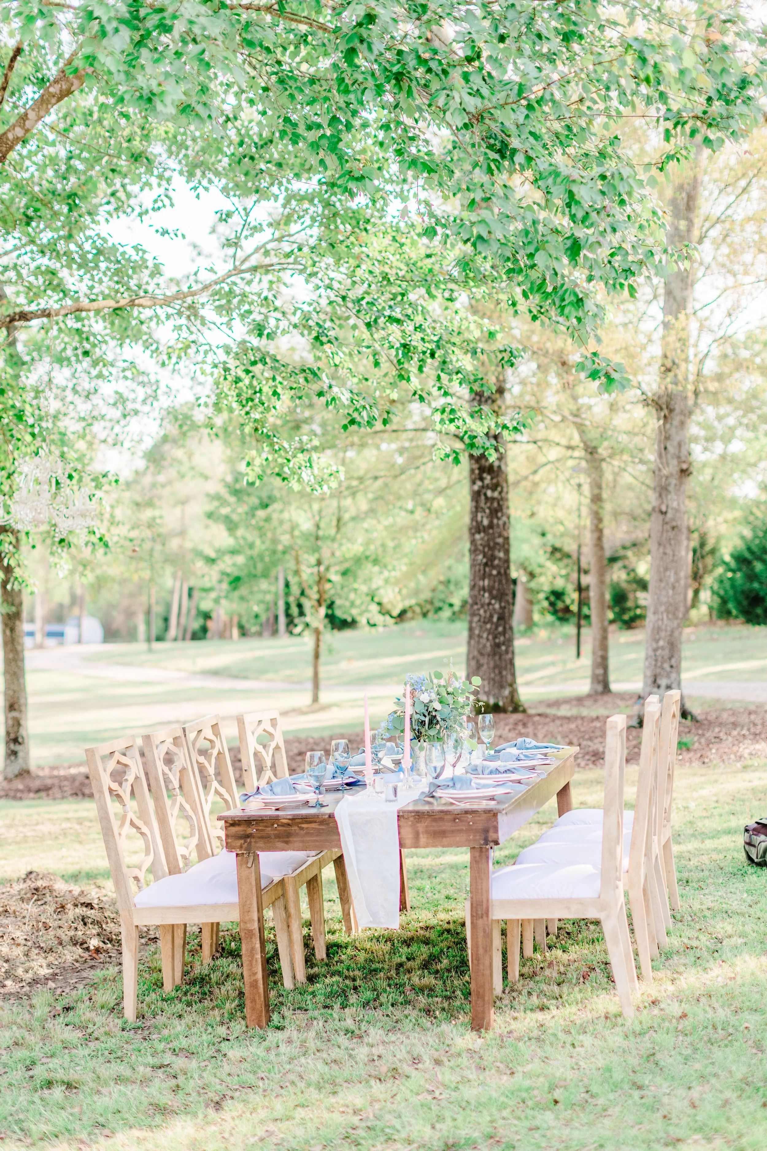 Gallery — Southern Grace Farms