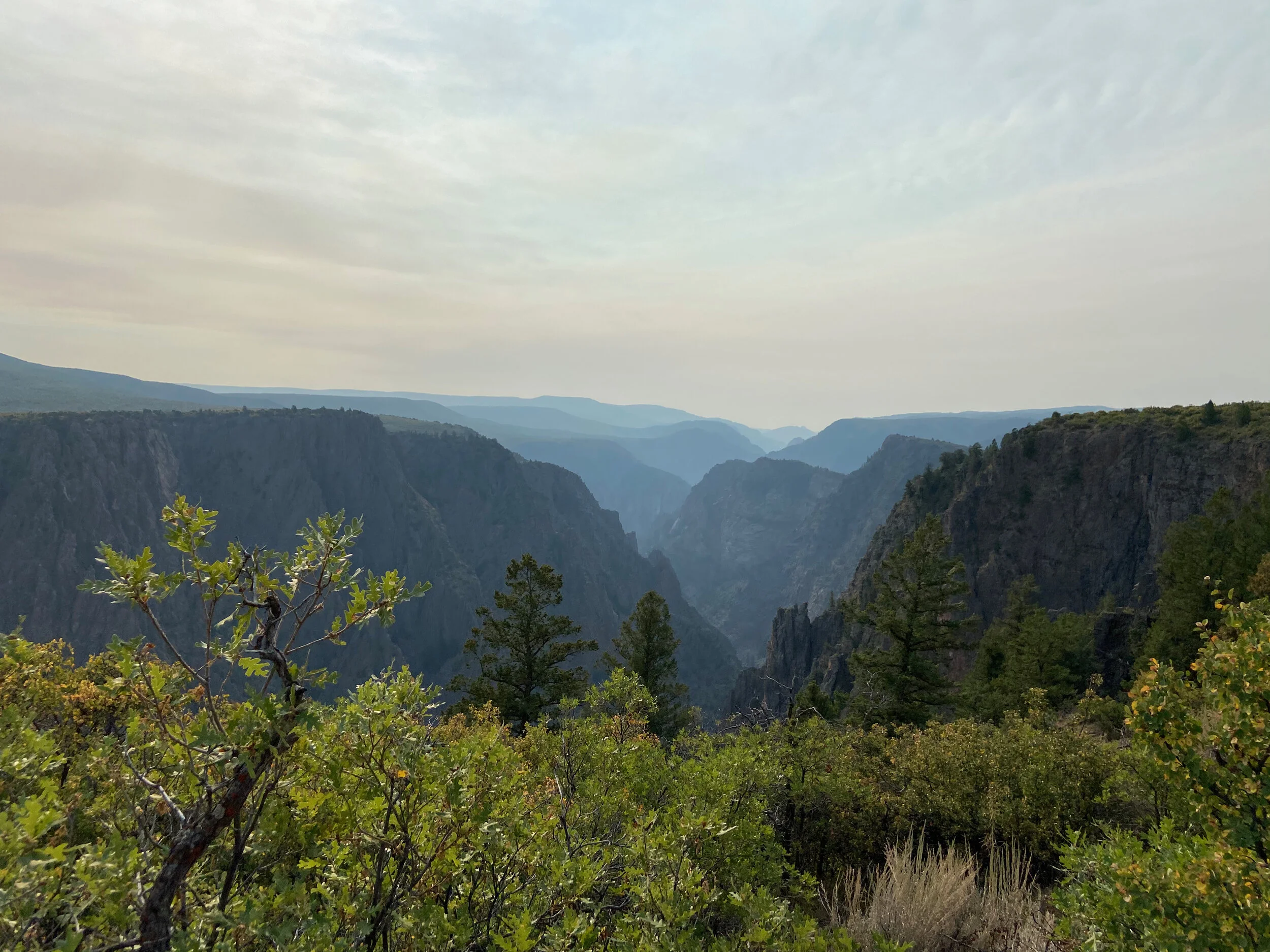 Ford Transit Camper Van Builds: High Roof, AWD, and Custom Wheelbase ...