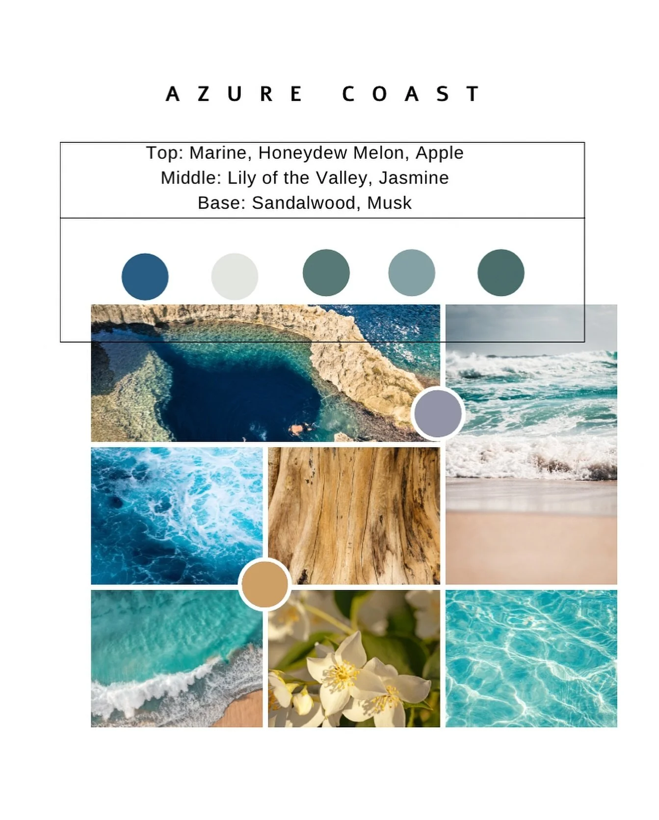 Oak & Wax Candle Co.