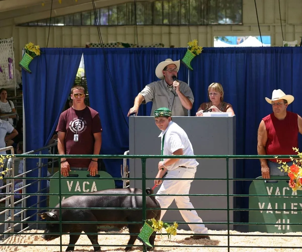 75th Annual Solano County Fair — Visit Vallejo