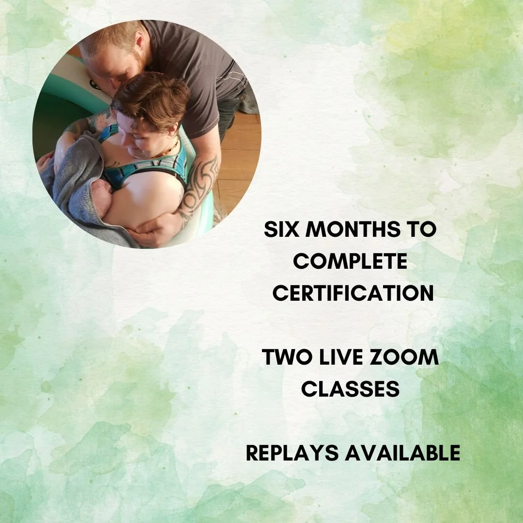 Doula Childbirth Educator Online Training Plus Size Pregnancy — Fat and ...