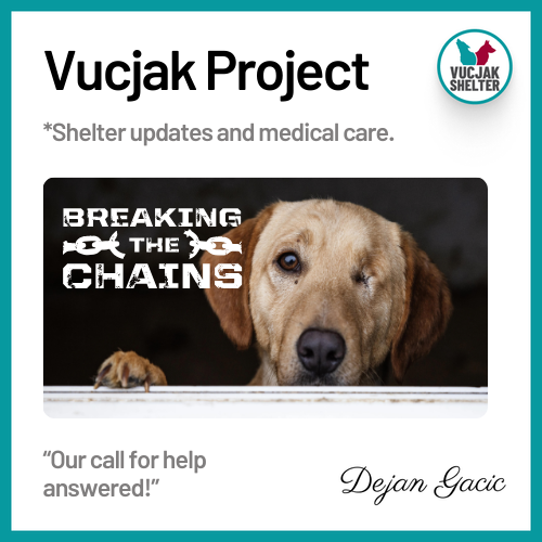 Donate — Vucjak Shelter