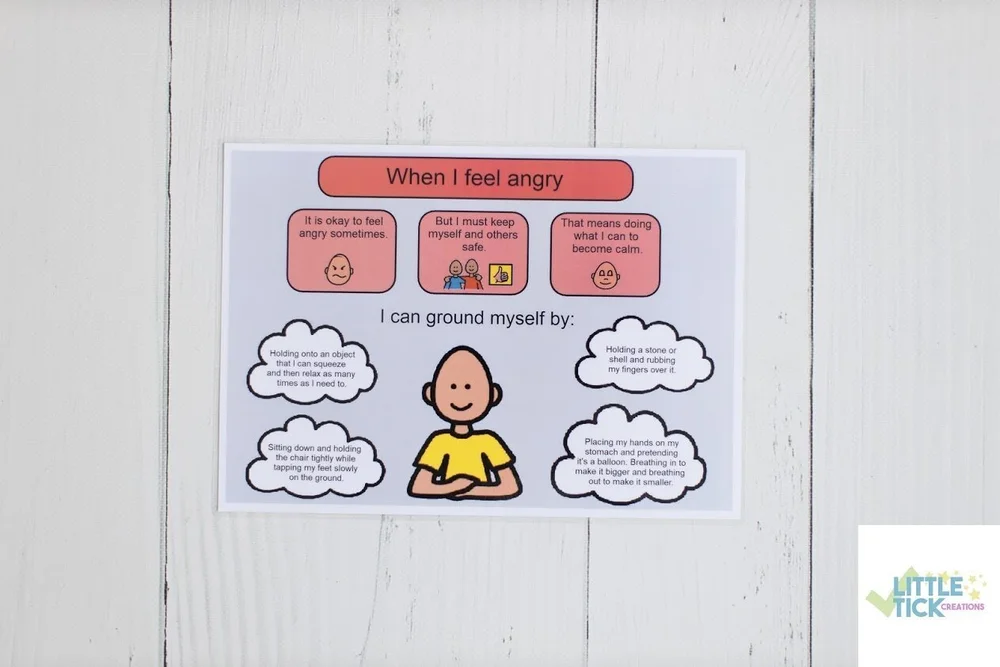 Behaviour Contingency Map — Little Tick Creations