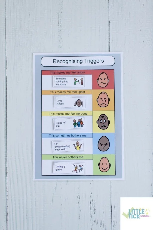 Emotional Regulation Resource Pack — Little Tick Creations