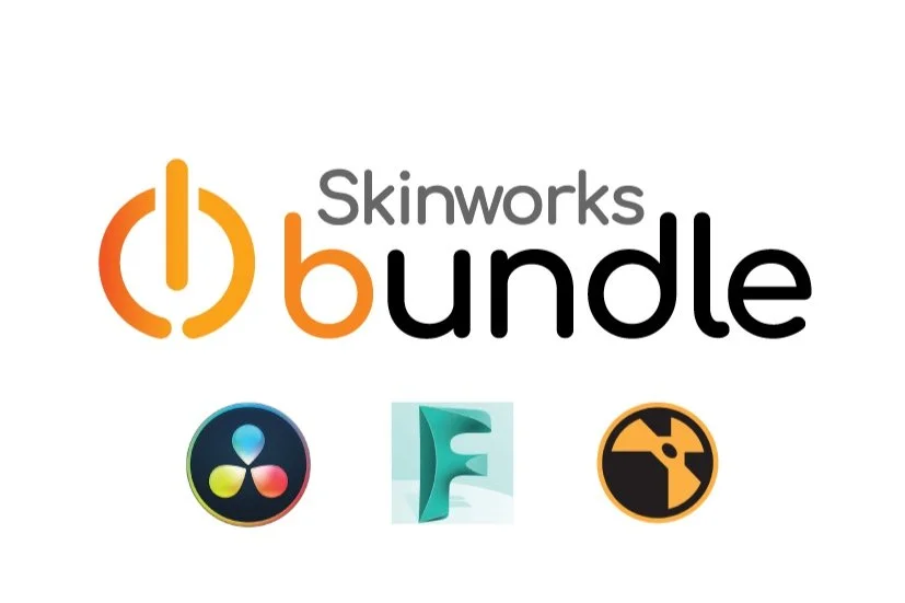 Skinworks 正規版購入 — digitalbigmo