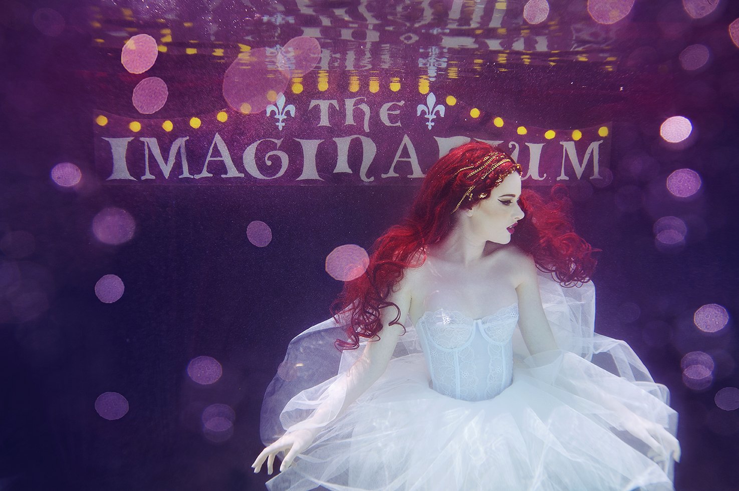 Beth Mitchell Fine Art