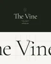 The Vine — Togue Studio