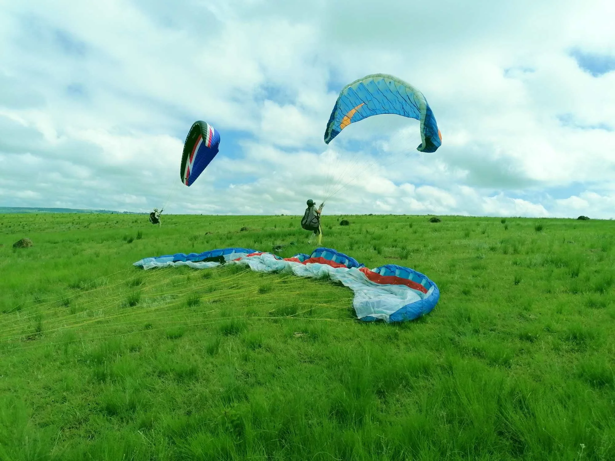 Wildsky Paragliding