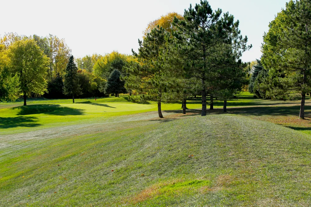 Gallery 3 — Rose Lake Golf Club