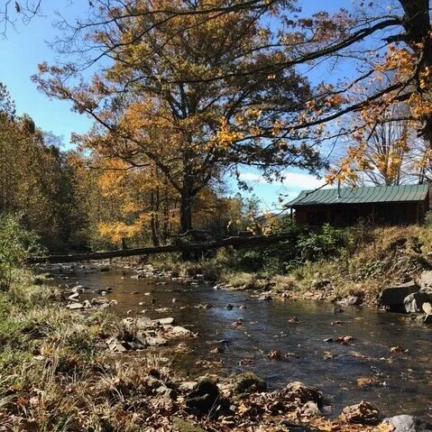 The Cabin on Back Creek — Back Creek Farms
