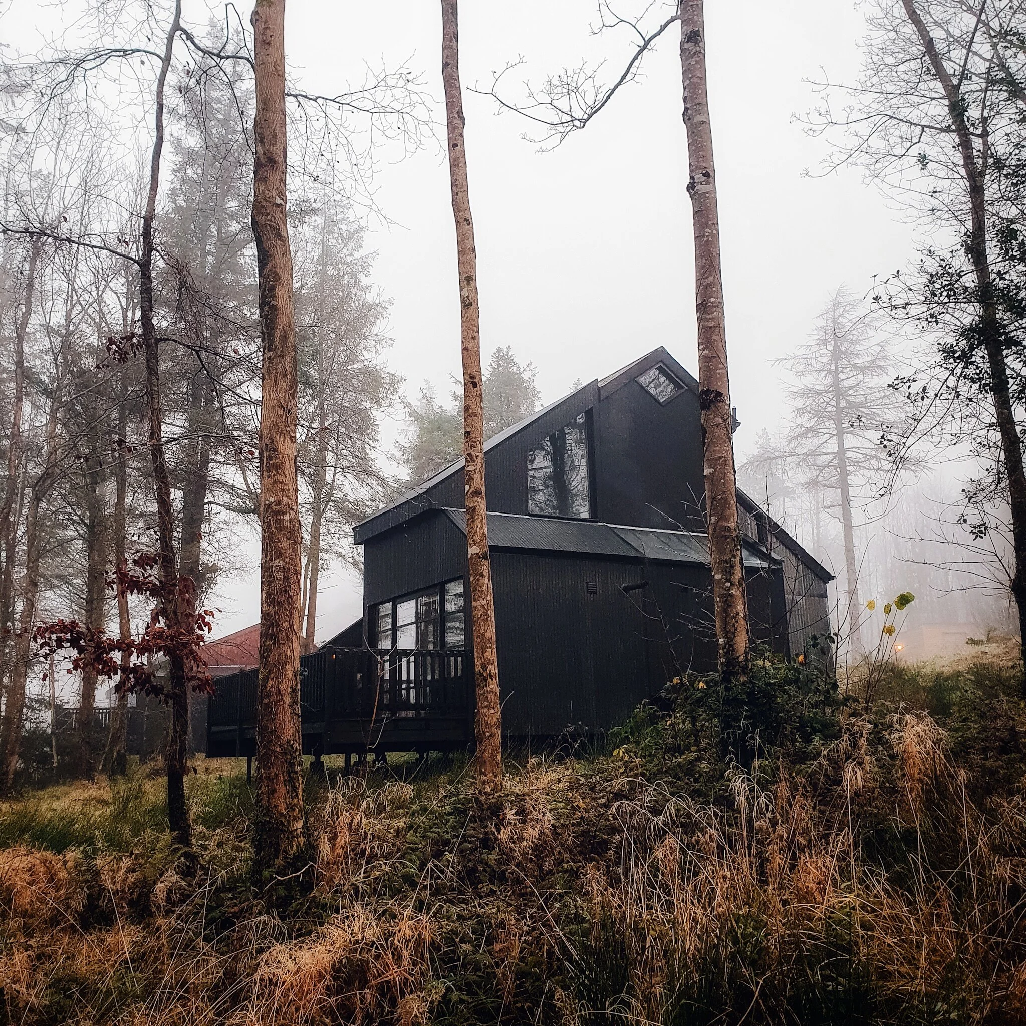 CABU by the Lakes an enchanted woodland hideaway in Ireland — Cathy & Juno