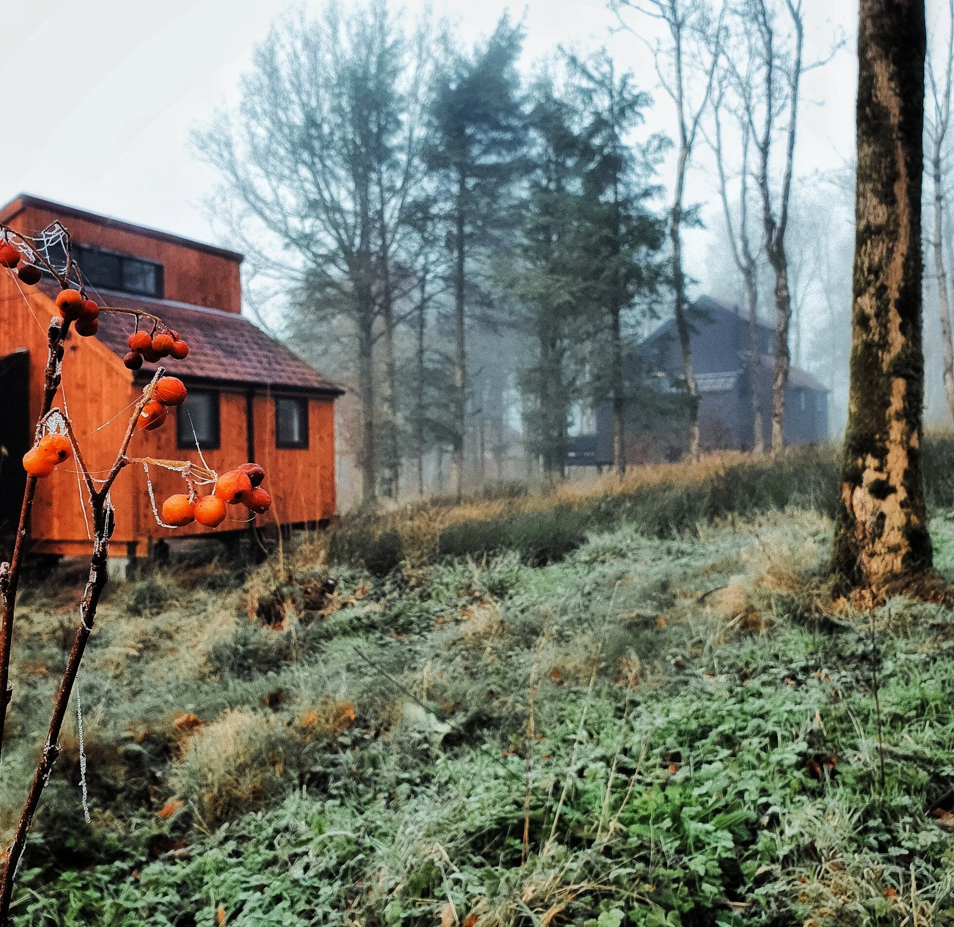 CABU by the Lakes an enchanted woodland hideaway in Ireland — Cathy & Juno