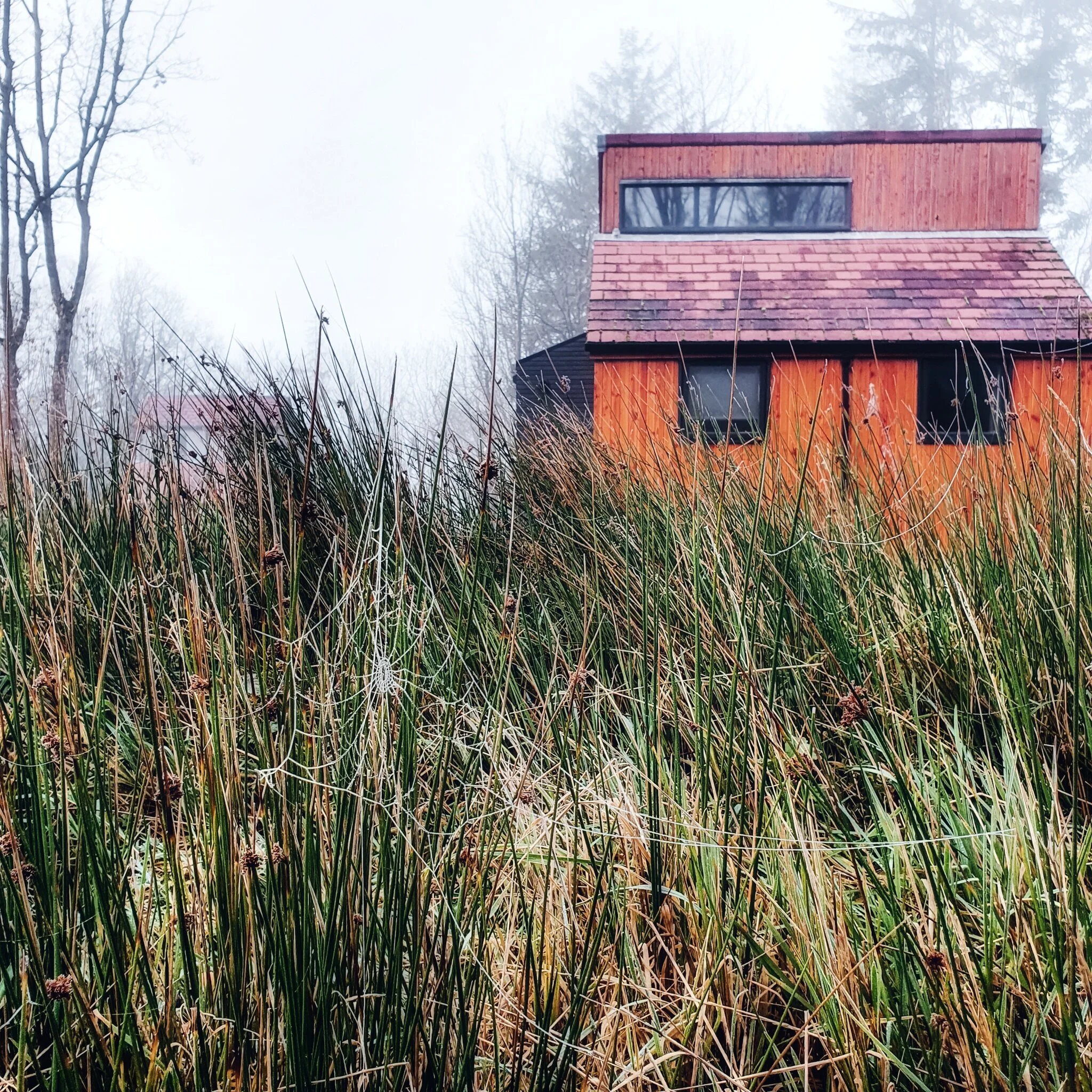 CABU by the Lakes an enchanted woodland hideaway in Ireland — Cathy & Juno
