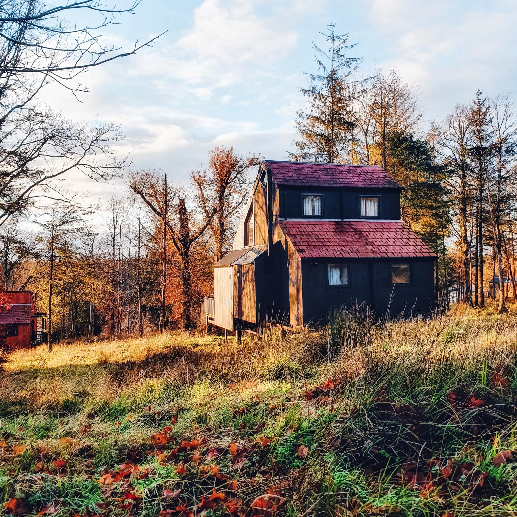 CABU by the Lakes an enchanted woodland hideaway in Ireland — Cathy & Juno